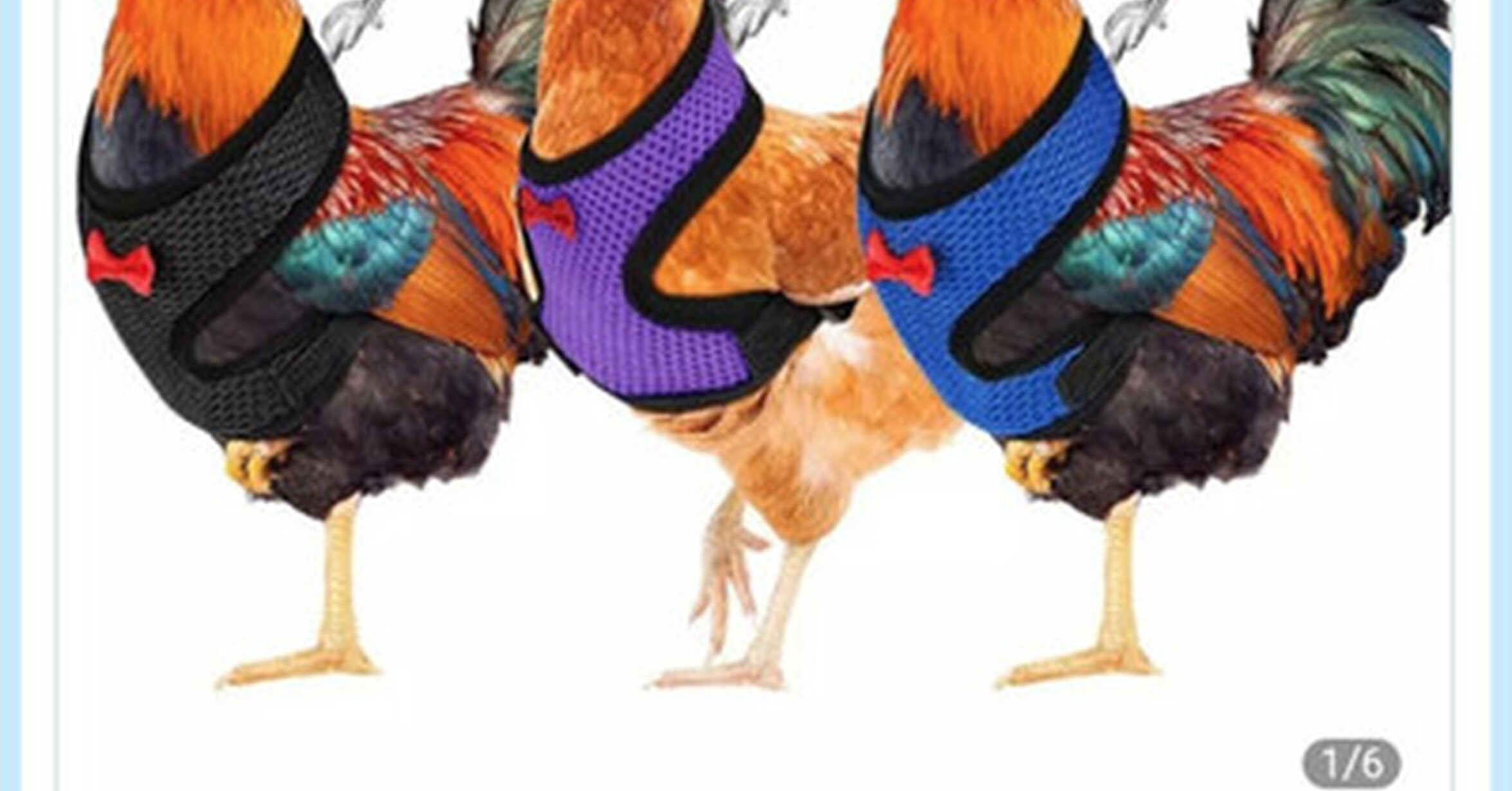 VEF > Visto en las Redes > Eso es hasta normal, por @the_hend81