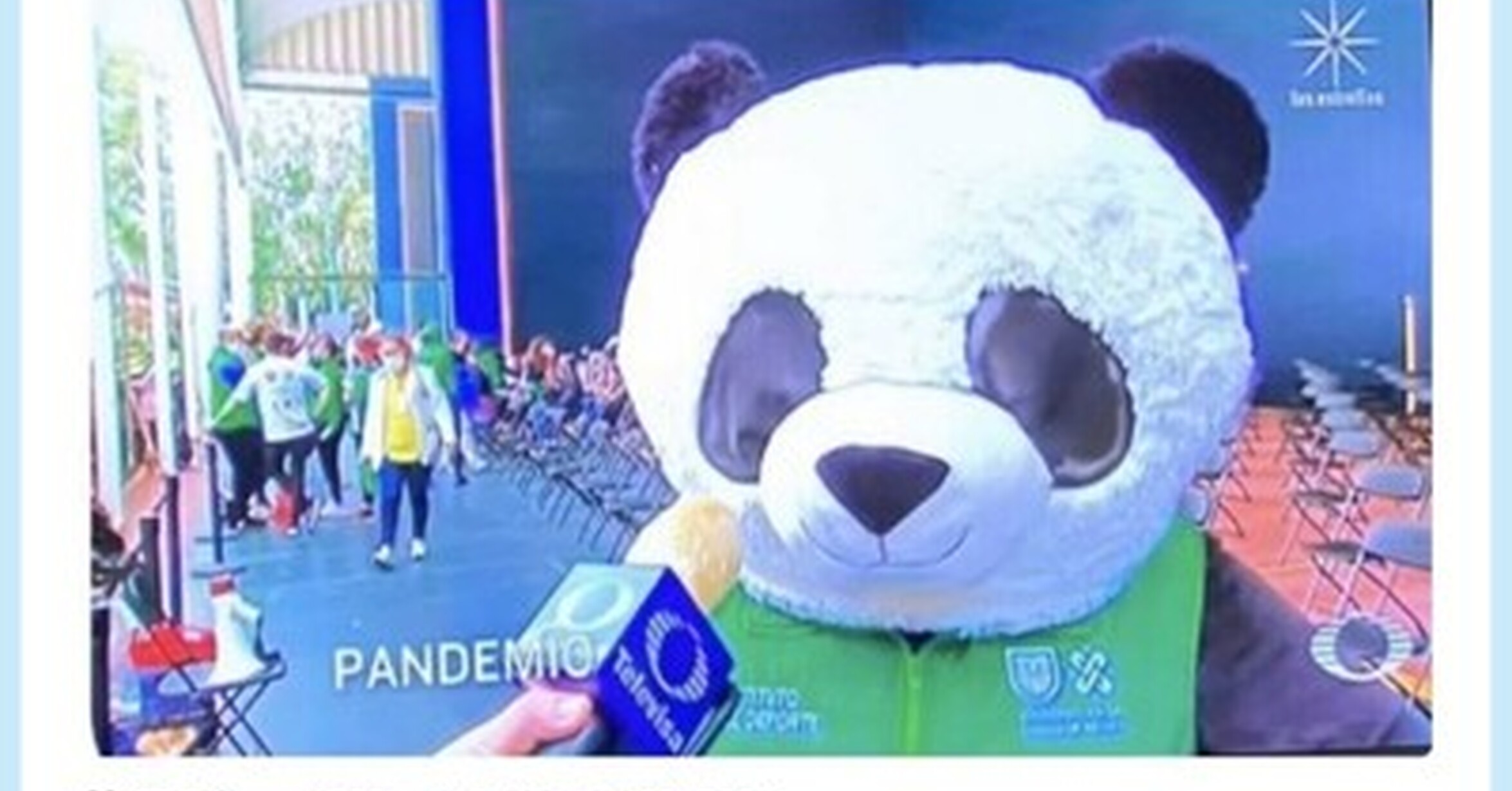 VEF > Visto en las Redes > Me parece formidable, por @jessicamedinab