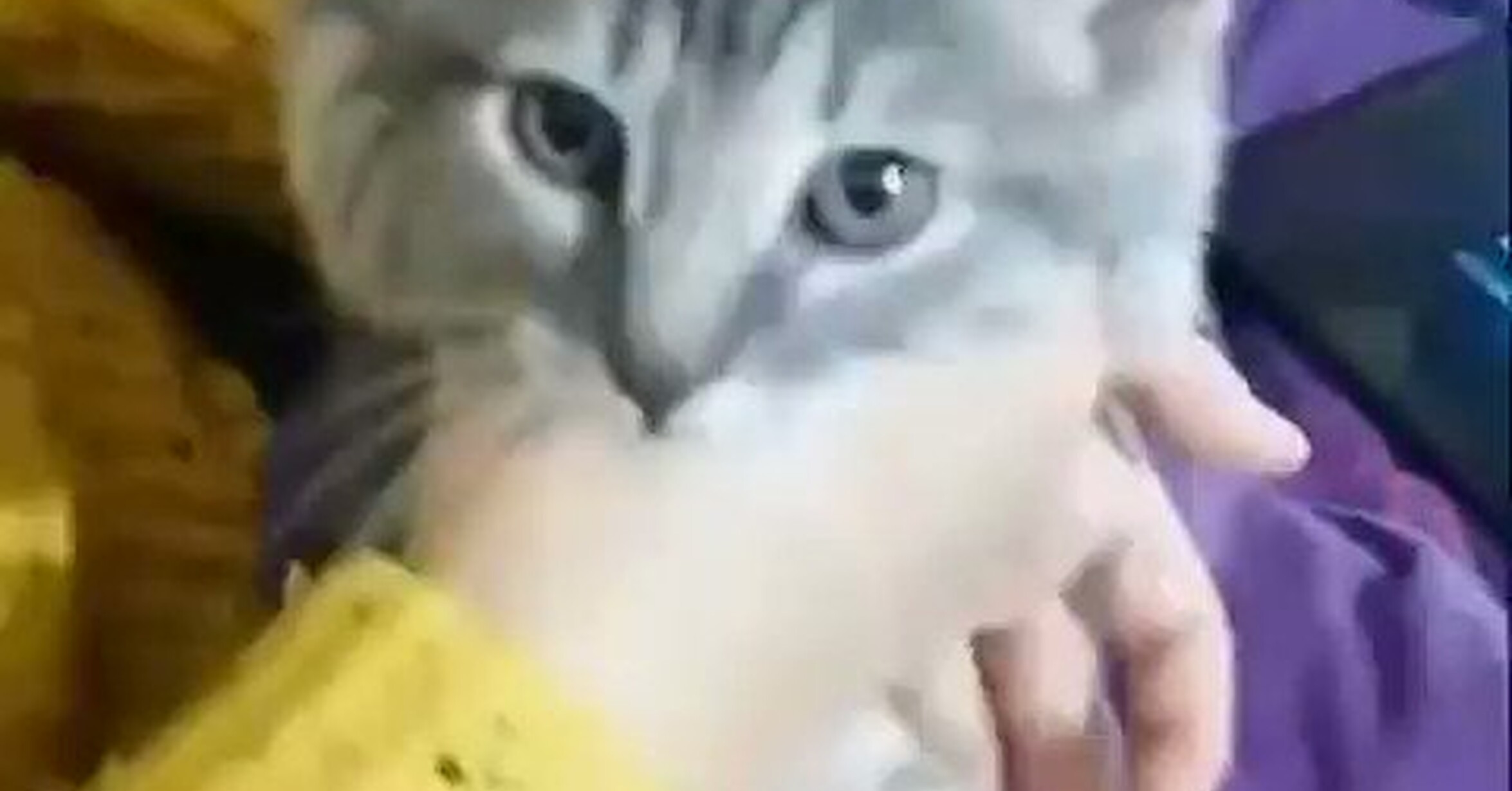 VEF > Visto en las Redes > ¡Buenas noches!, por @weirdlilguys