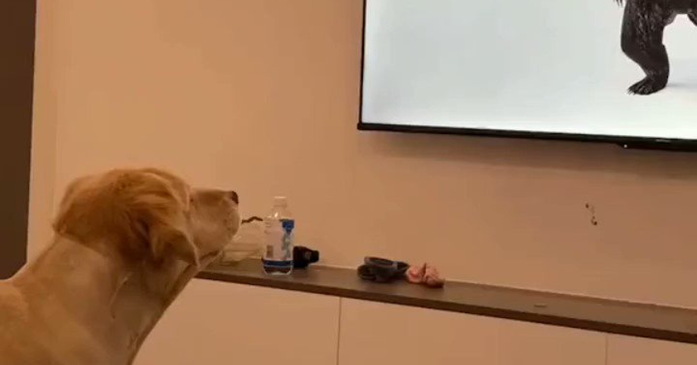 VEF > Visto en las Redes > Se queda flipando, por @Doc_Hannibal