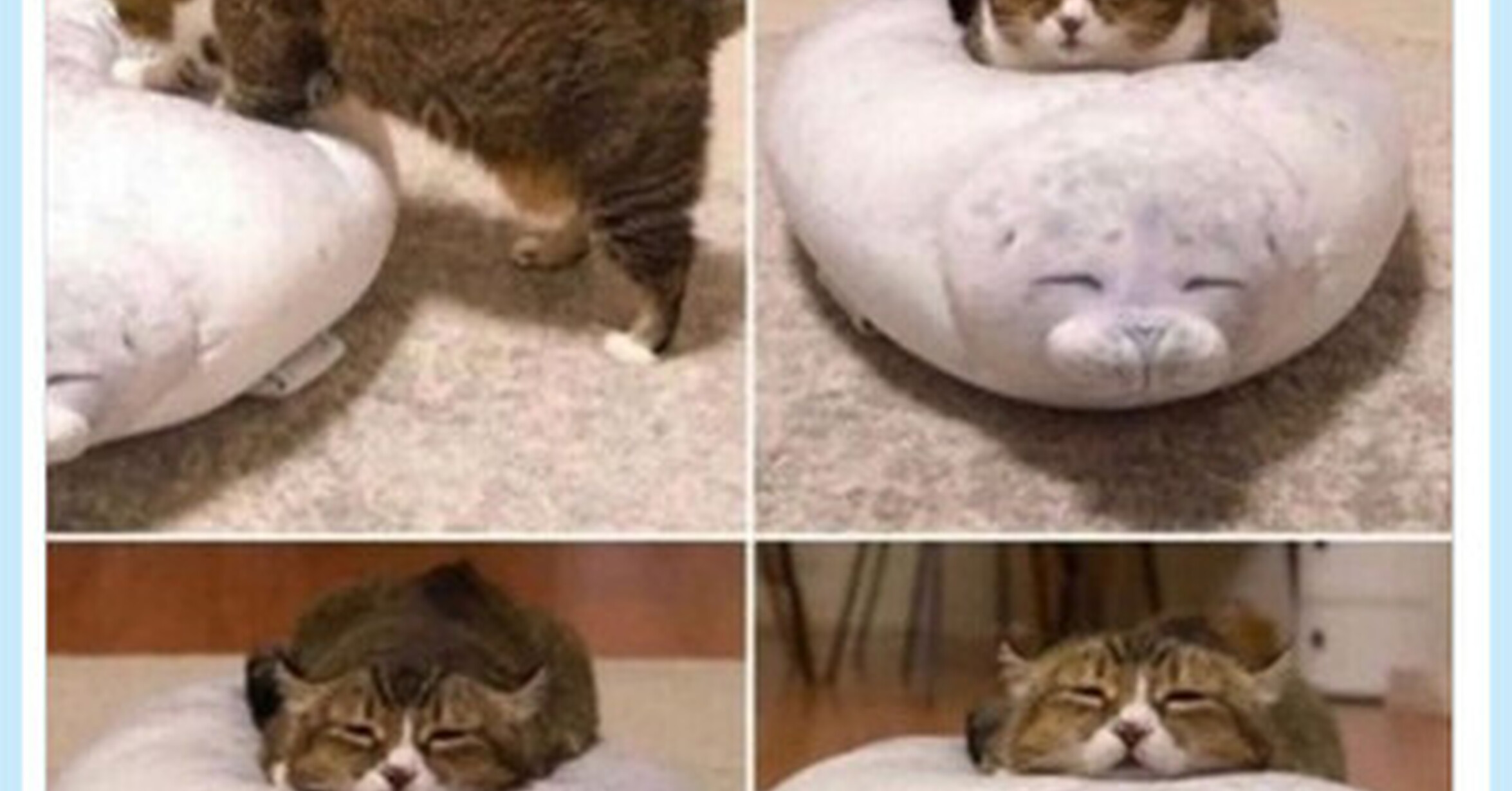 VEF > Visto en las Redes > Ya puedes seguir haciendo scroll por ...