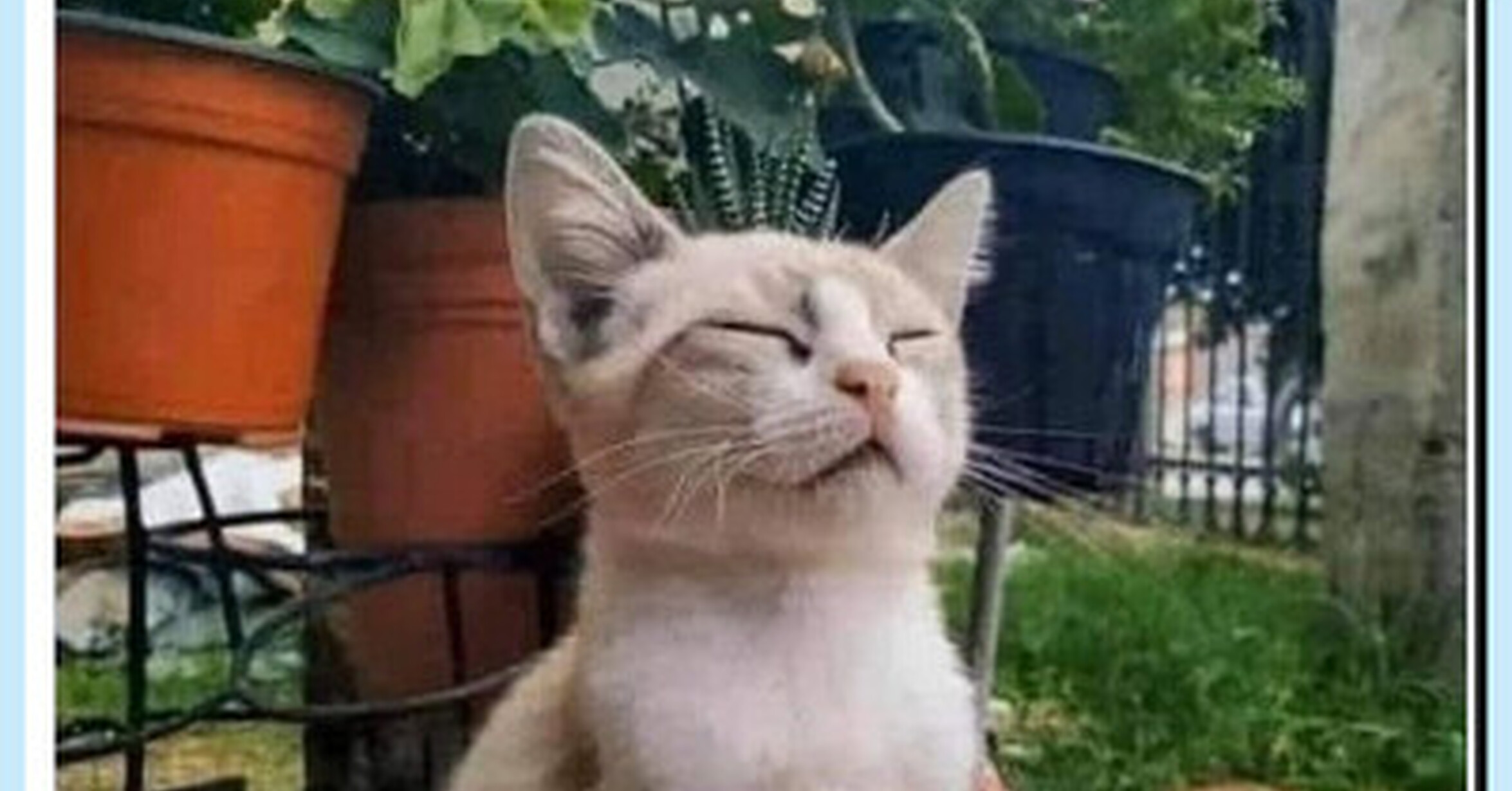 VEF > Visto en las Redes > Ese rayito de sol por @supermanumolina