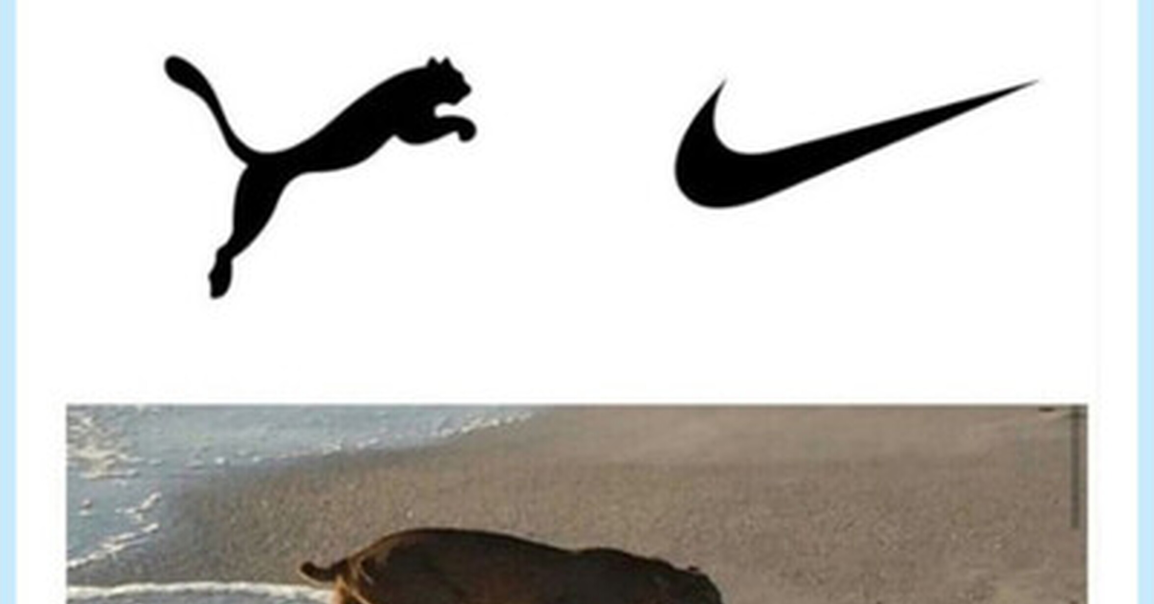 VEF > Visto en las Redes > Puma vs nike, por @RincnCuriosoo