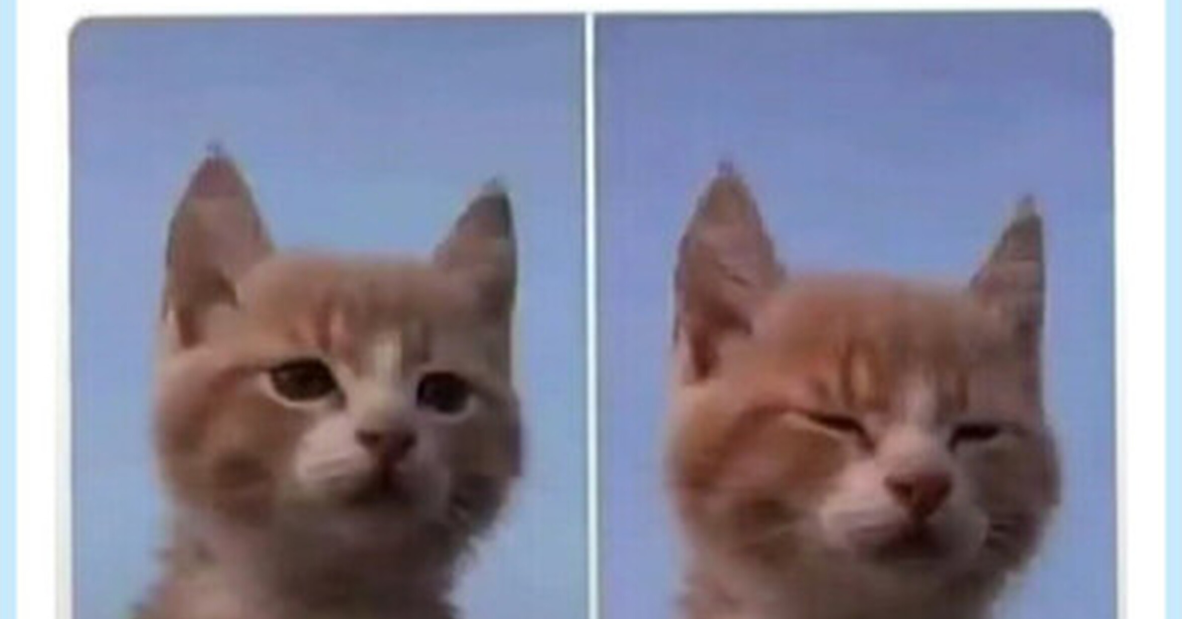 VEF > Visto en las Redes > Problemas de estar cegato perdido, por ...