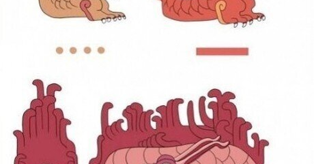 POKEMON MAYA - Ésta versión también mola