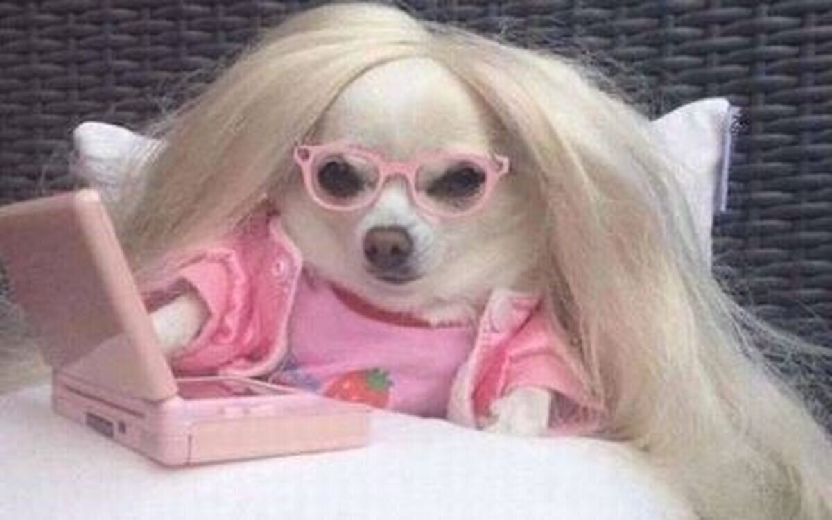 Top 299 memes de canela