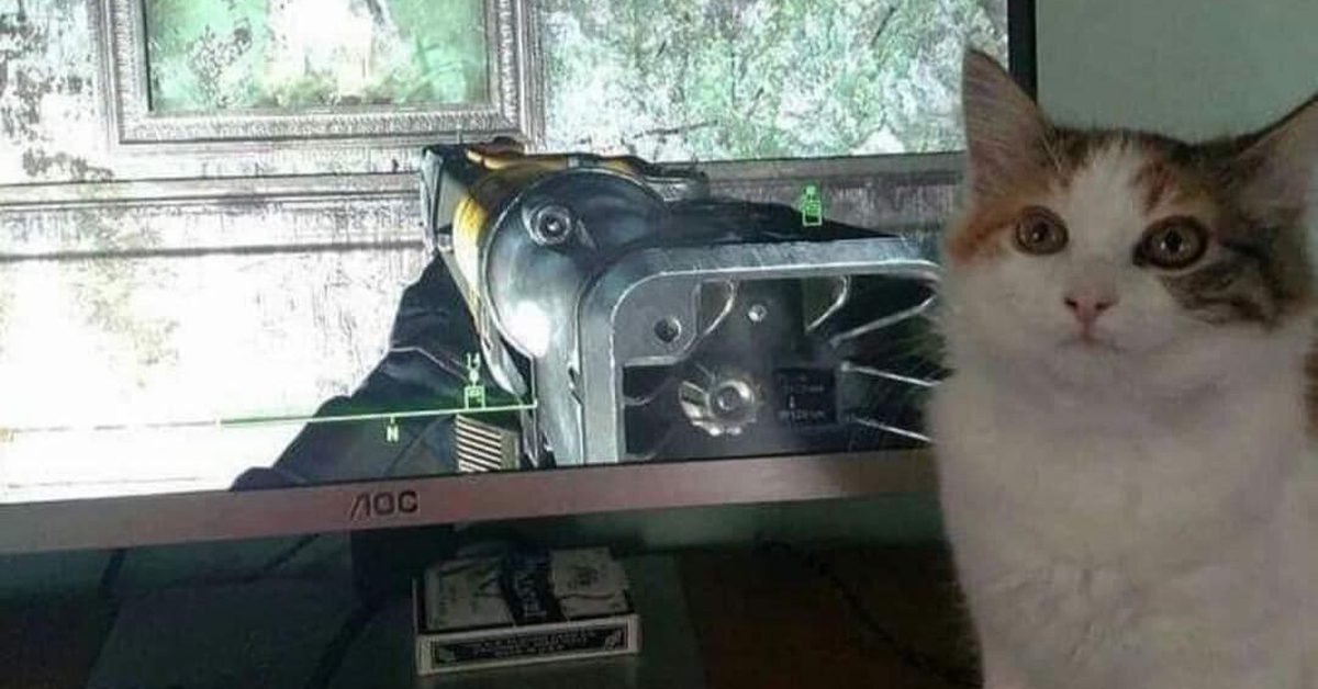 Mi michi apareció en Fallout