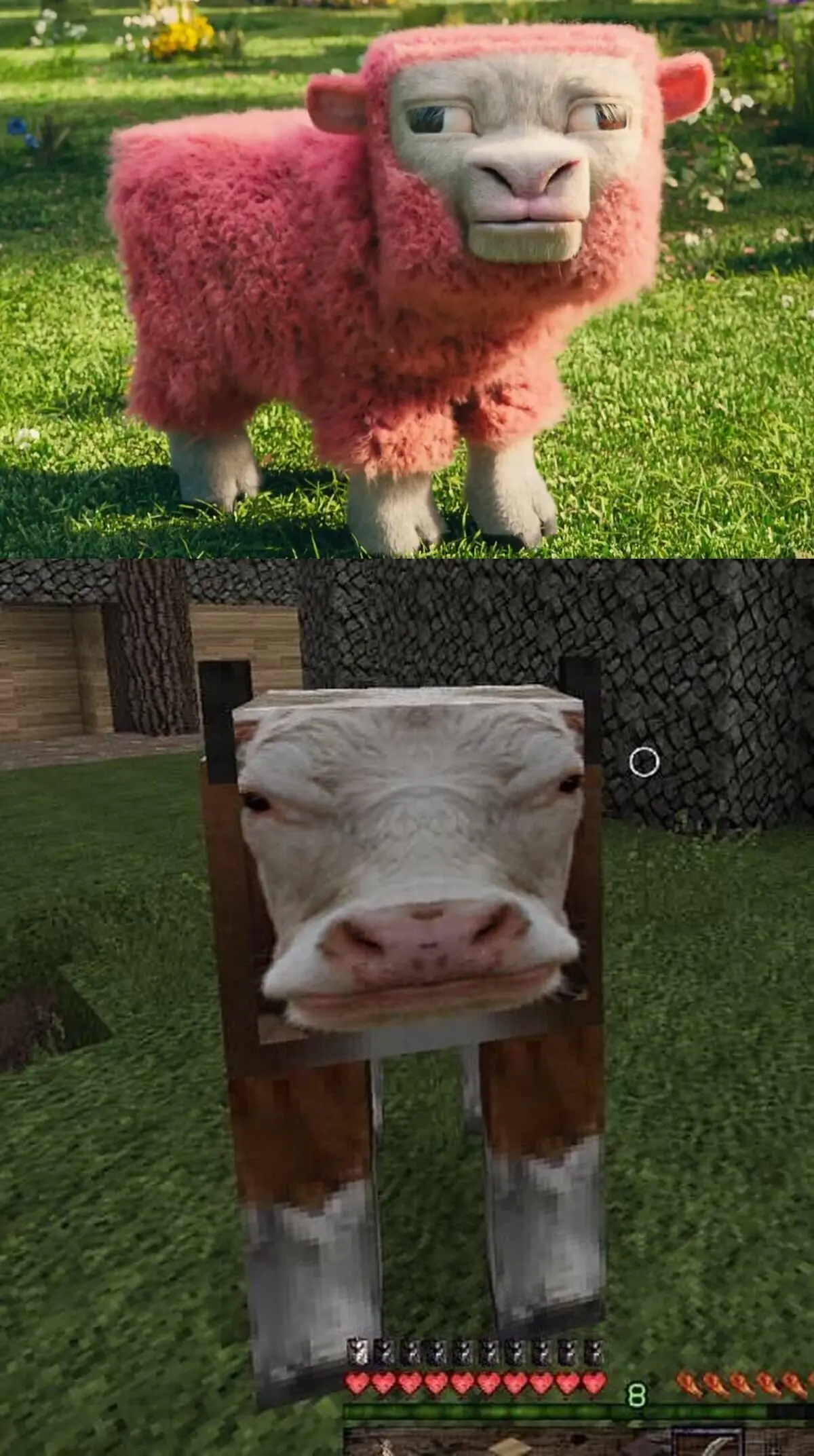Vaca Y Pollo Memes Komi San: Memes Aseguran Que A La Voz De Komi Le