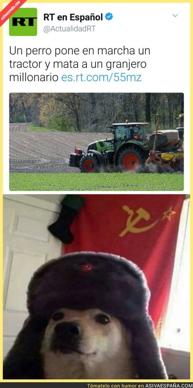 El perro más comunista