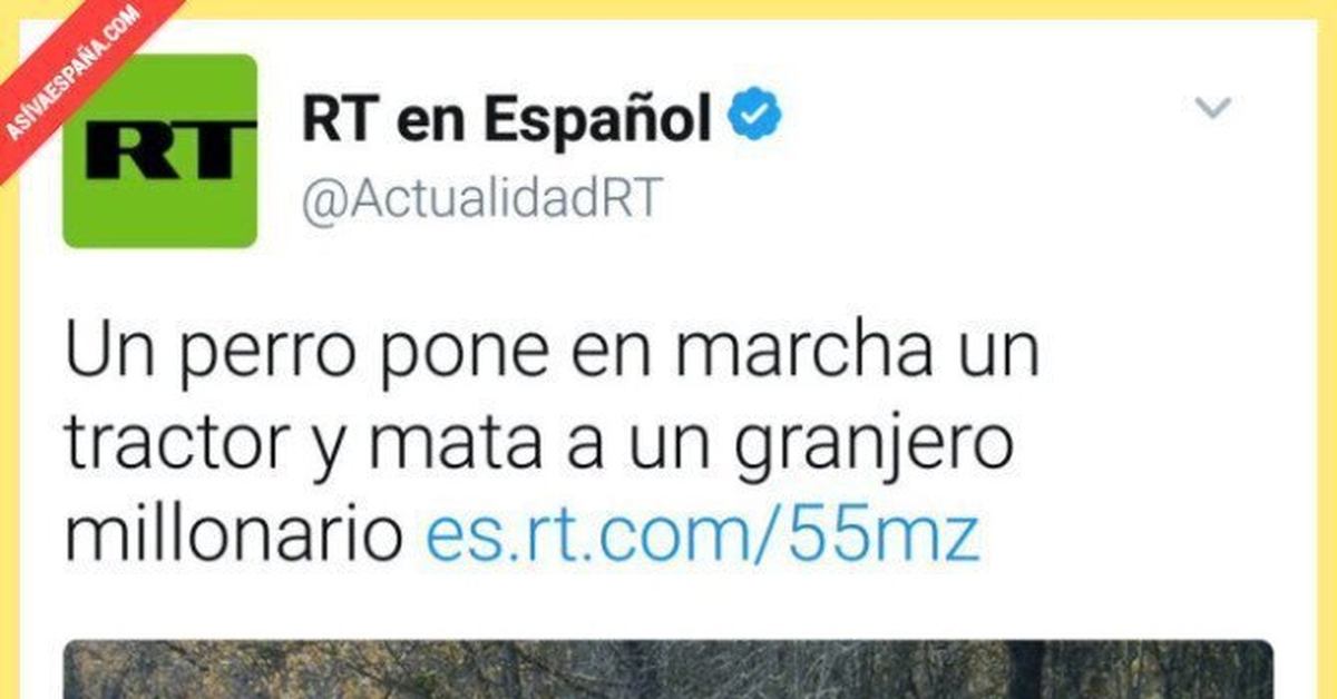 El perro más comunista