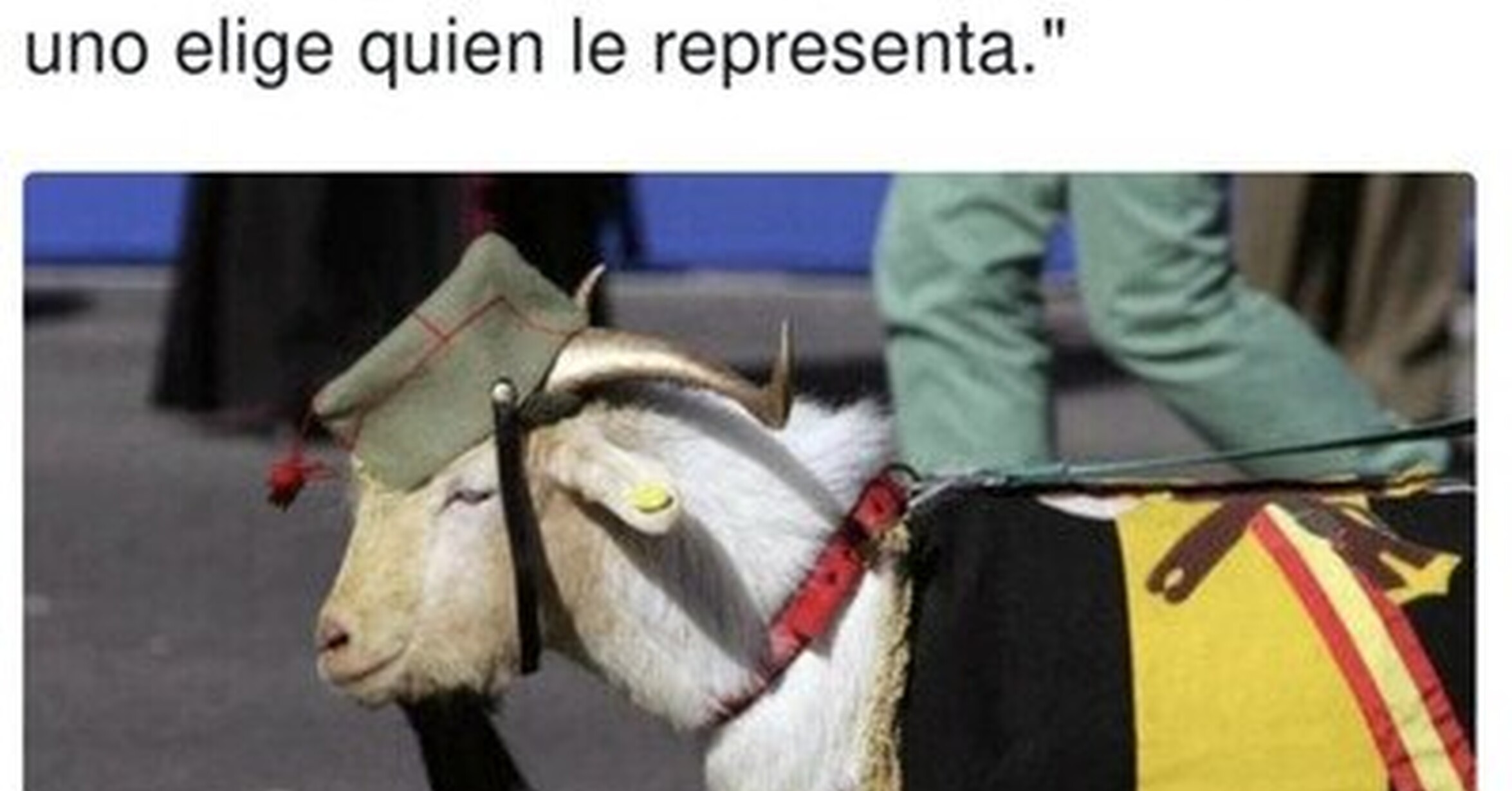 Diferente tipos de personas