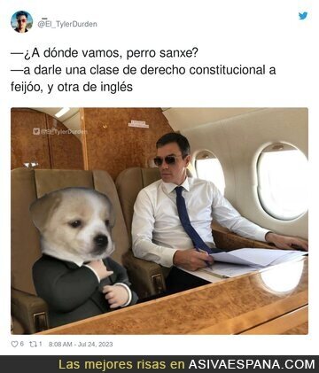 Lección de Perro Sanxe