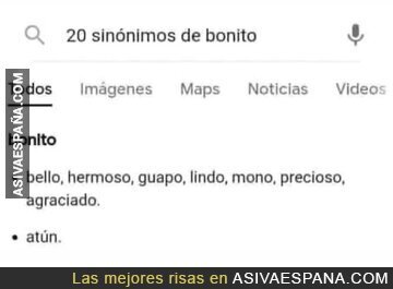 Sinónimos de bonito