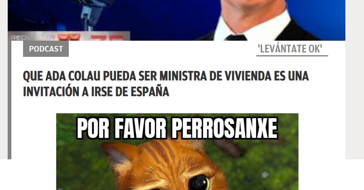 ¡Por favor Perro Sanxe!