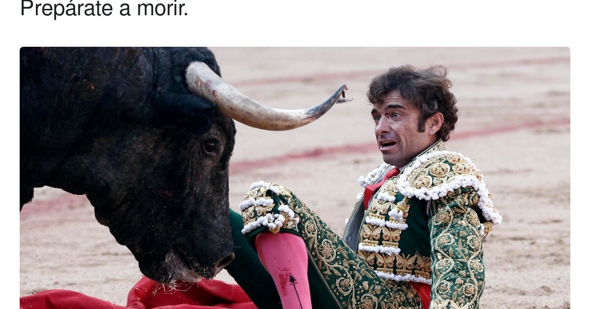 Memes De Toros Ah No Memes ToRo
