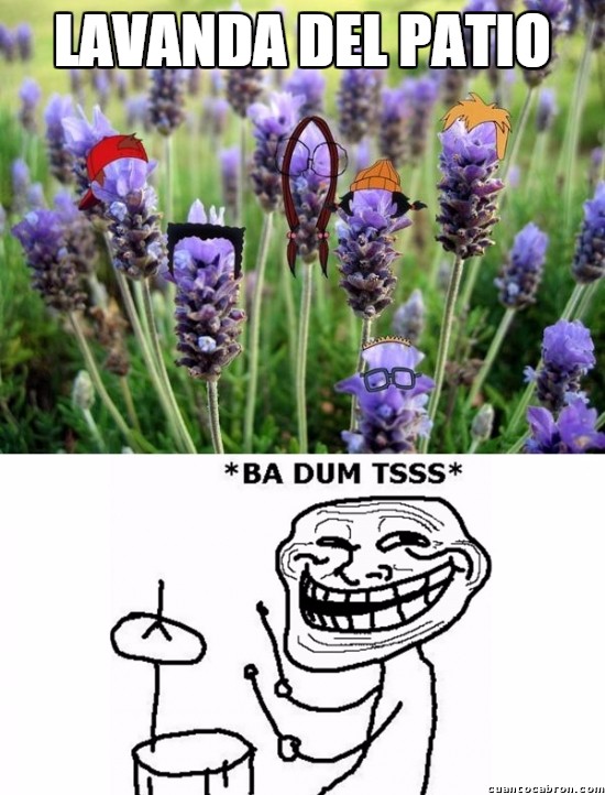 Cuánto cabrón / Lavanda del patio
