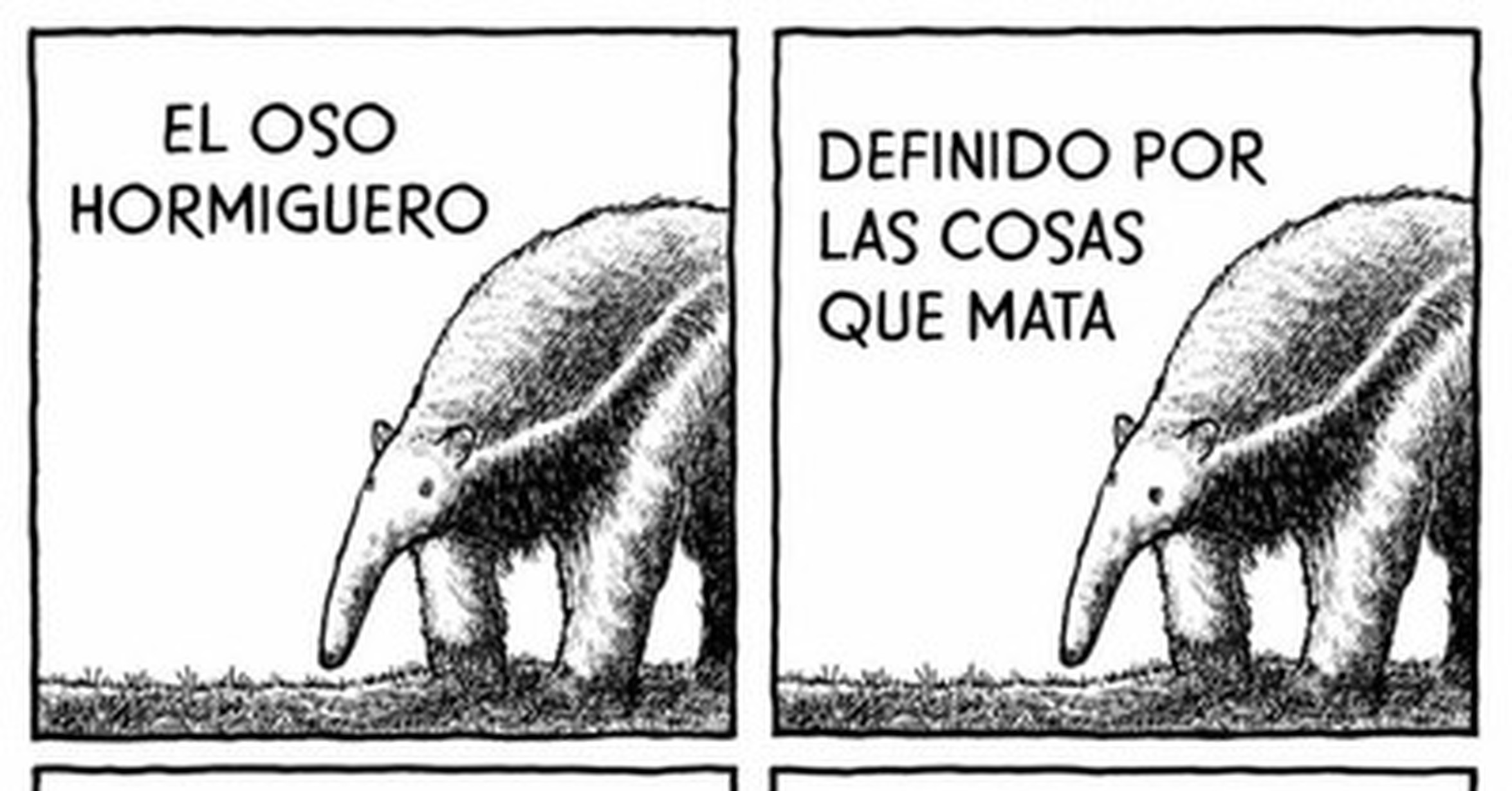 Cuánto cabrón / Las grandes cualidades del oso hormiguero