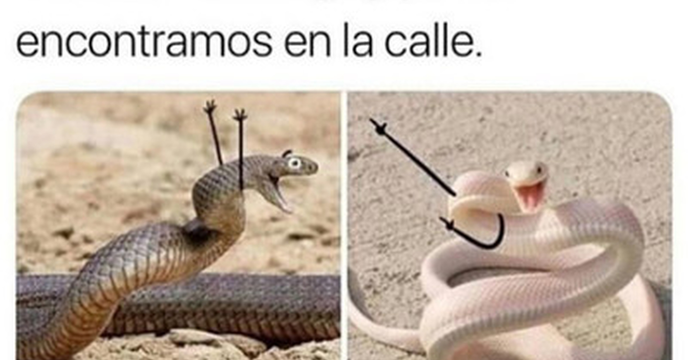 Cuánto cabrón / Qué alegría, qué emoción