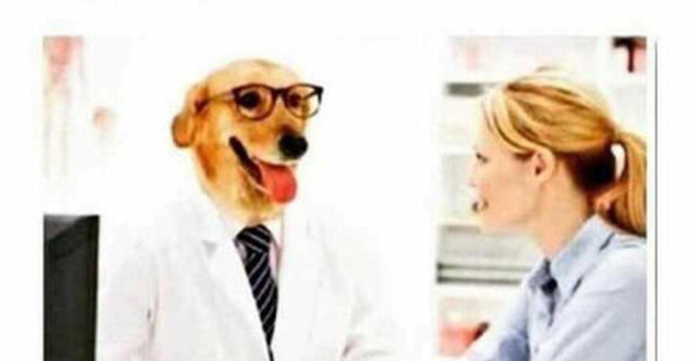 Cuánto cabrón / Los consejos del Dogtor