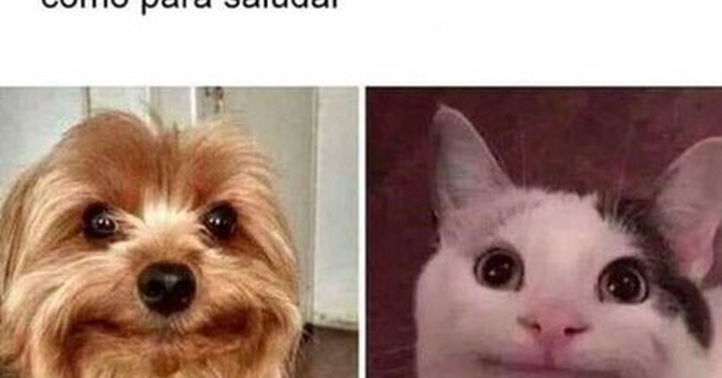 Cuánto cabrón / Esa media sonrisa incómoda