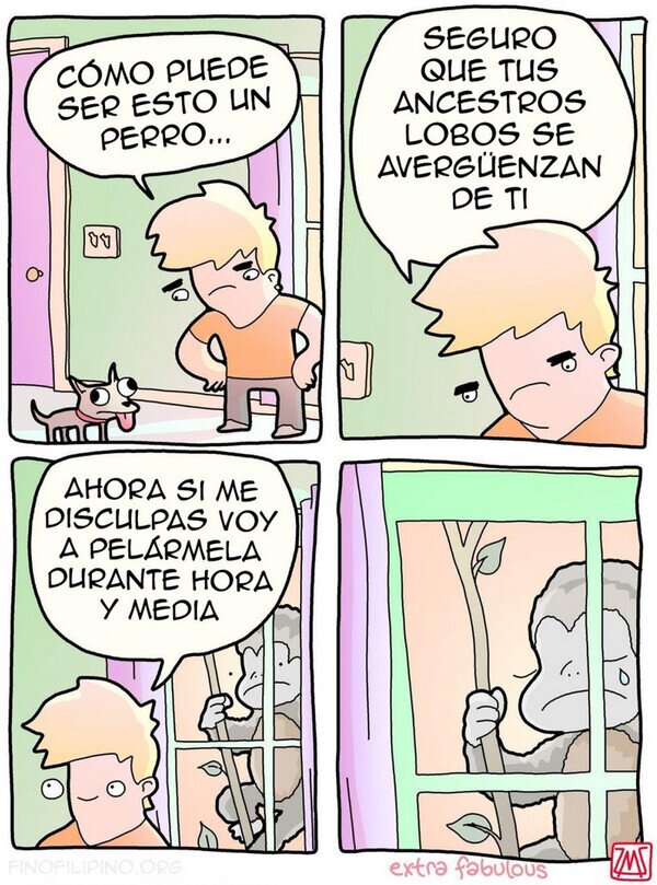 La involución de las especies : r/SpanishMeme
