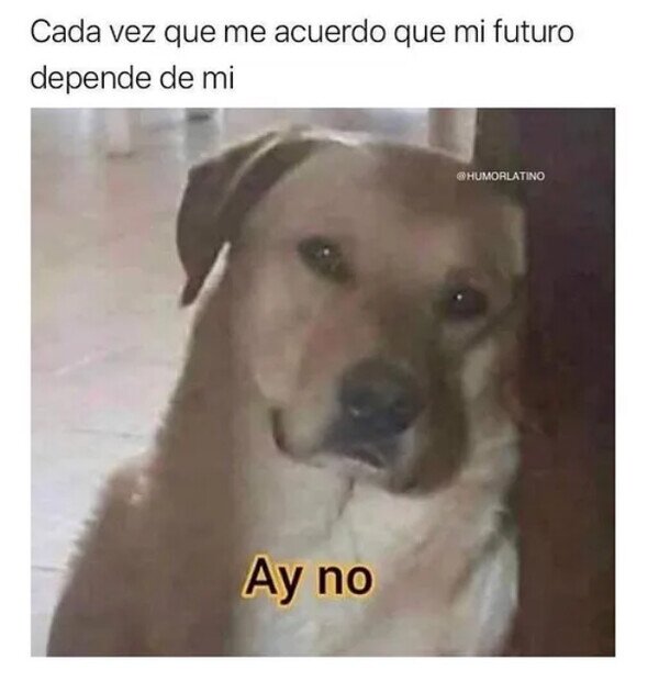 ¡Cuánto cabrón! La mejor página de memes y cómics en español