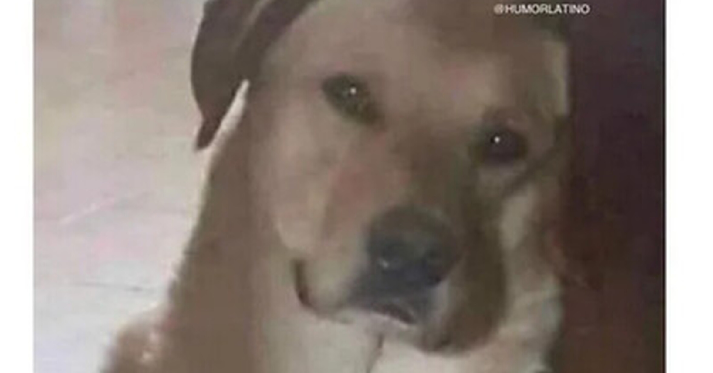 Cuánto cabrón / Ya está echado a perder