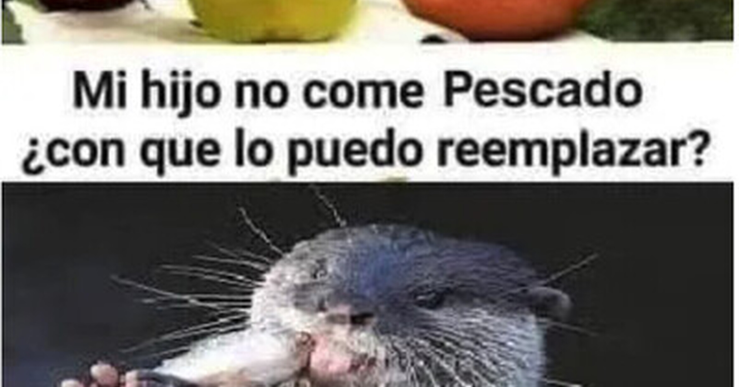 Cuánto cabrón / La nutria no se te va a quejar