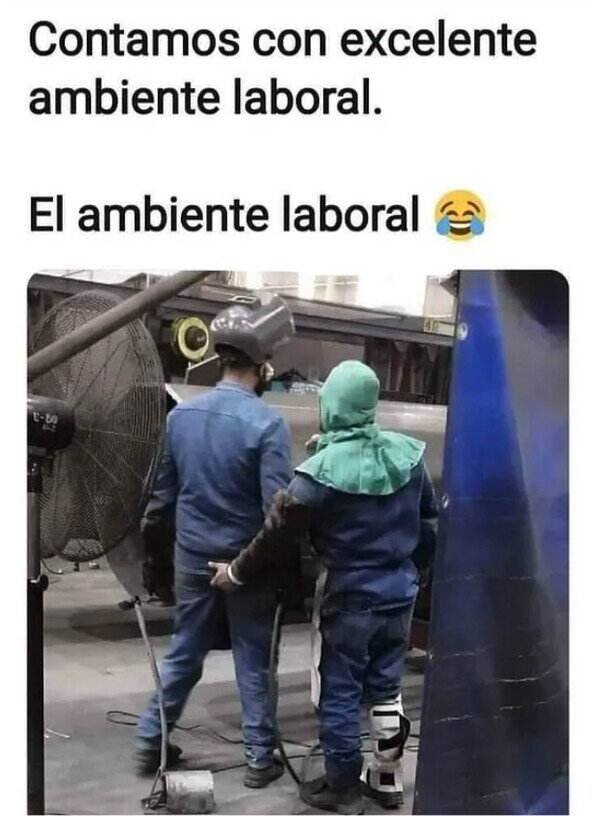 Cuánto cabrón / Demasiado buen ambiente