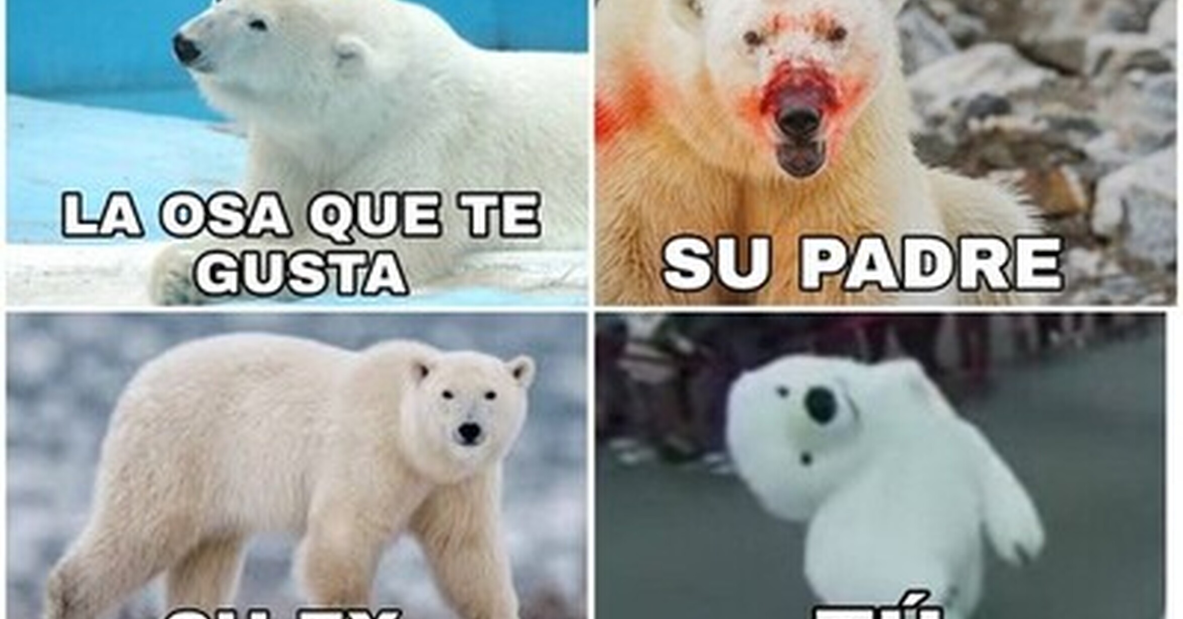 Cuánto cabrón / La dura vida del Oso Polar de la Cabalgata de Cádiz