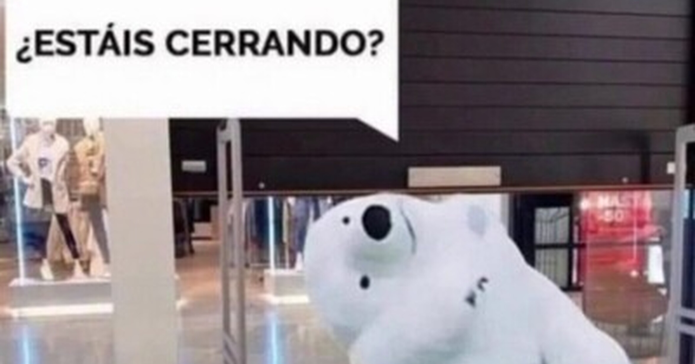 Cuánto cabrón / El oso de Cádiz soy yo en un centro comercial a las 20:58h