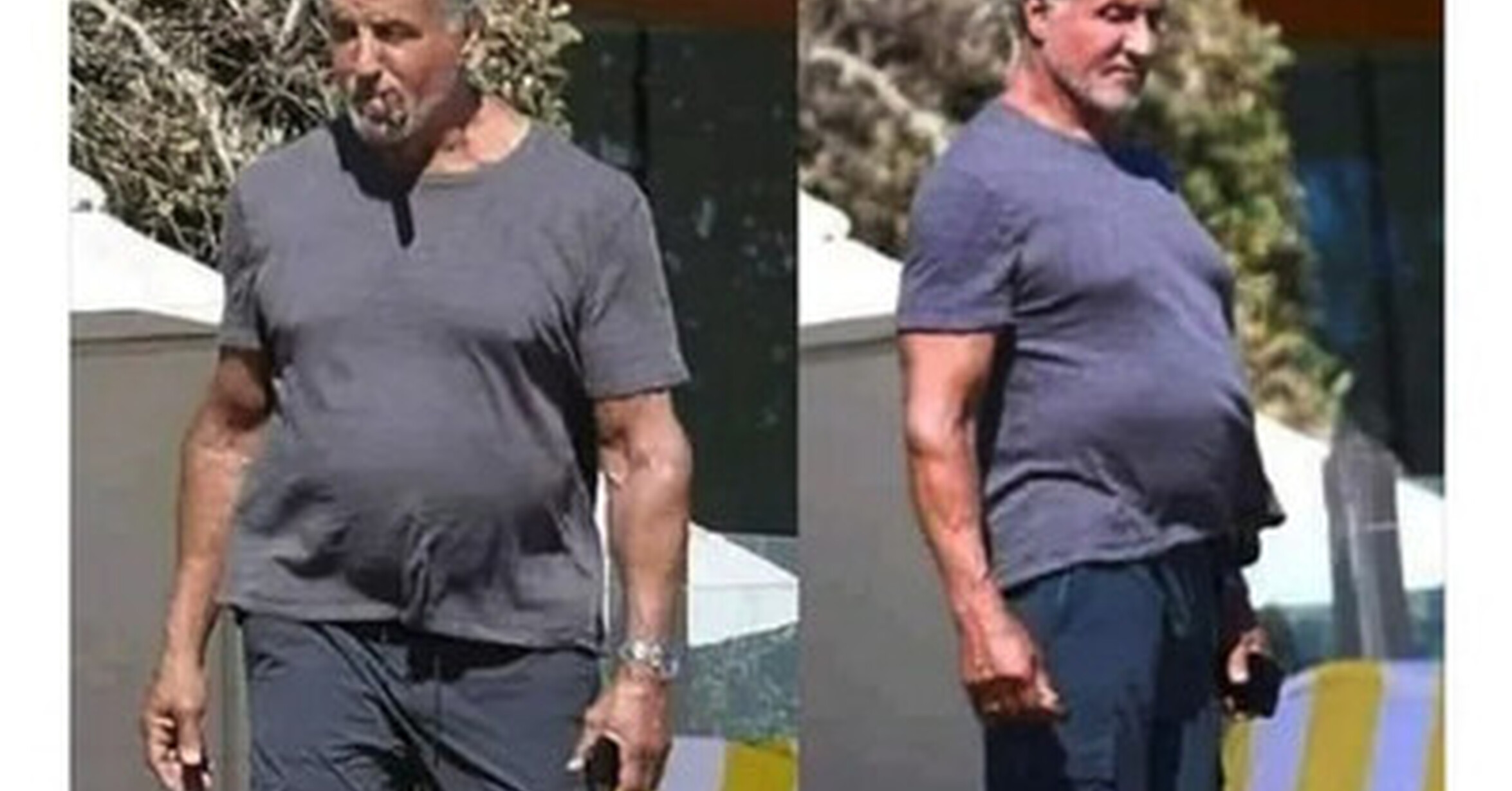 Cuánto cabrón / Cuerpo de Rambo