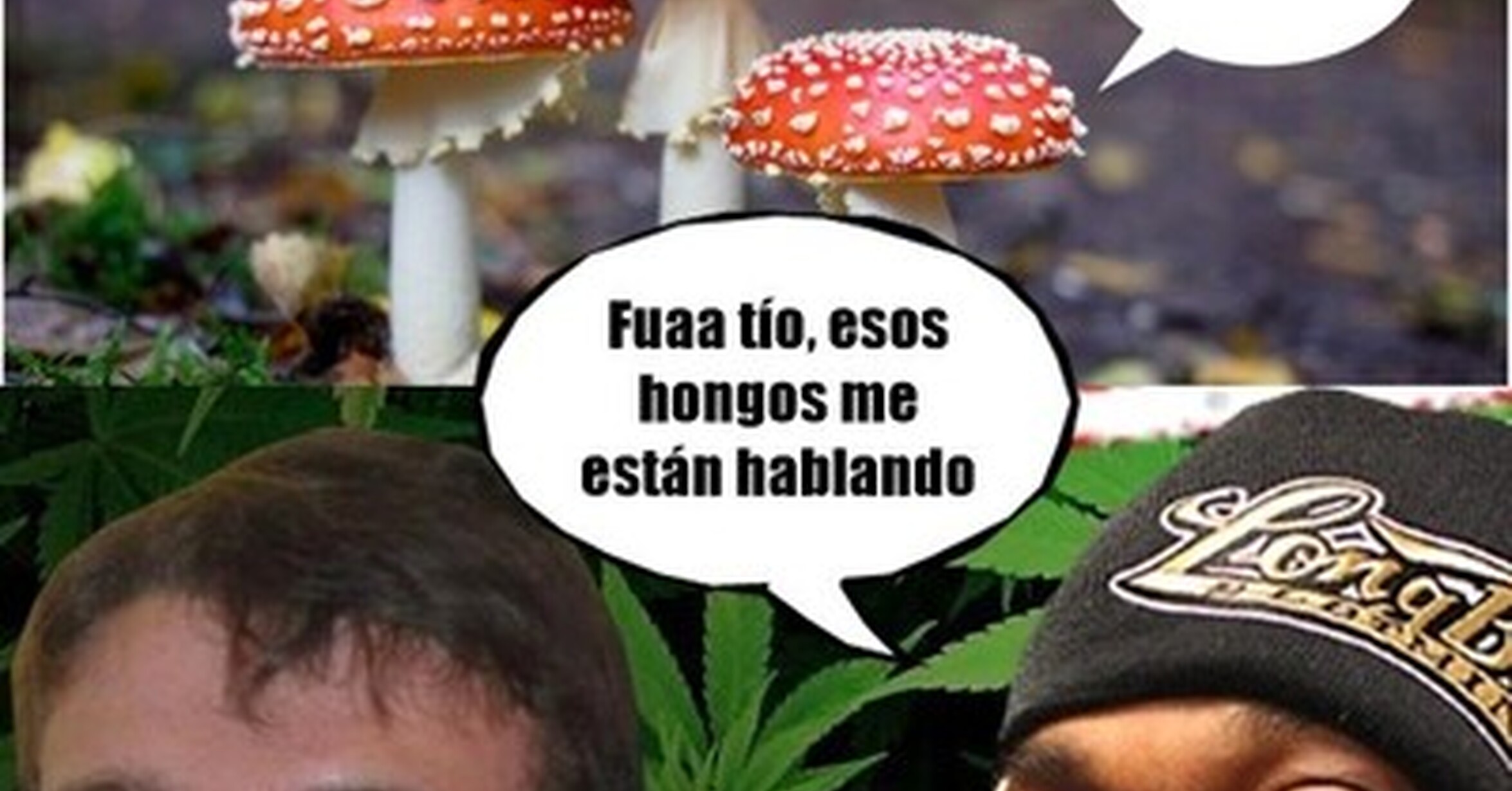 Cuánto cabrón / ¿Habrá un Sálvame para hongos?