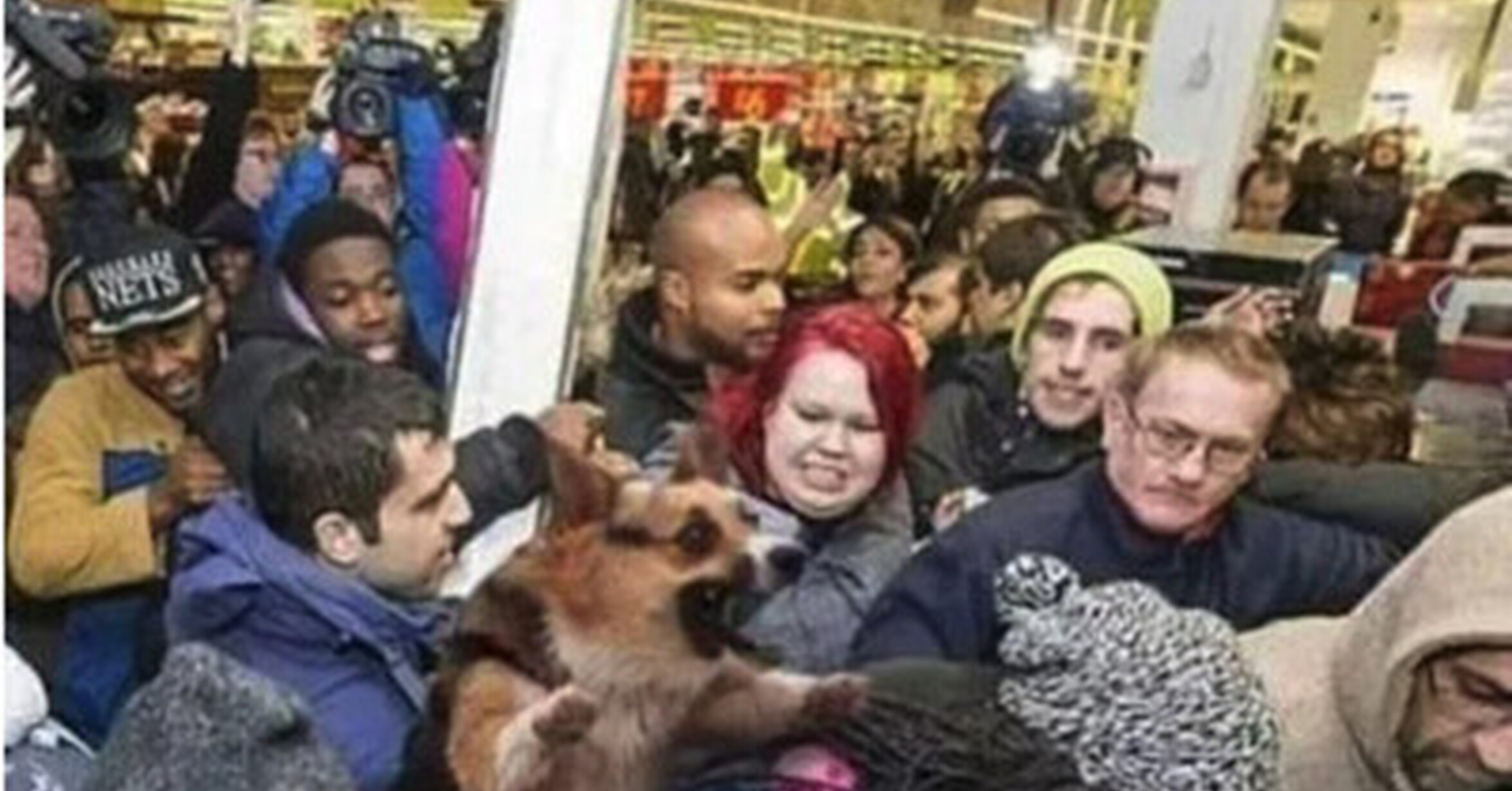 Cuánto cabrón / ¡Firulais, cálmate!