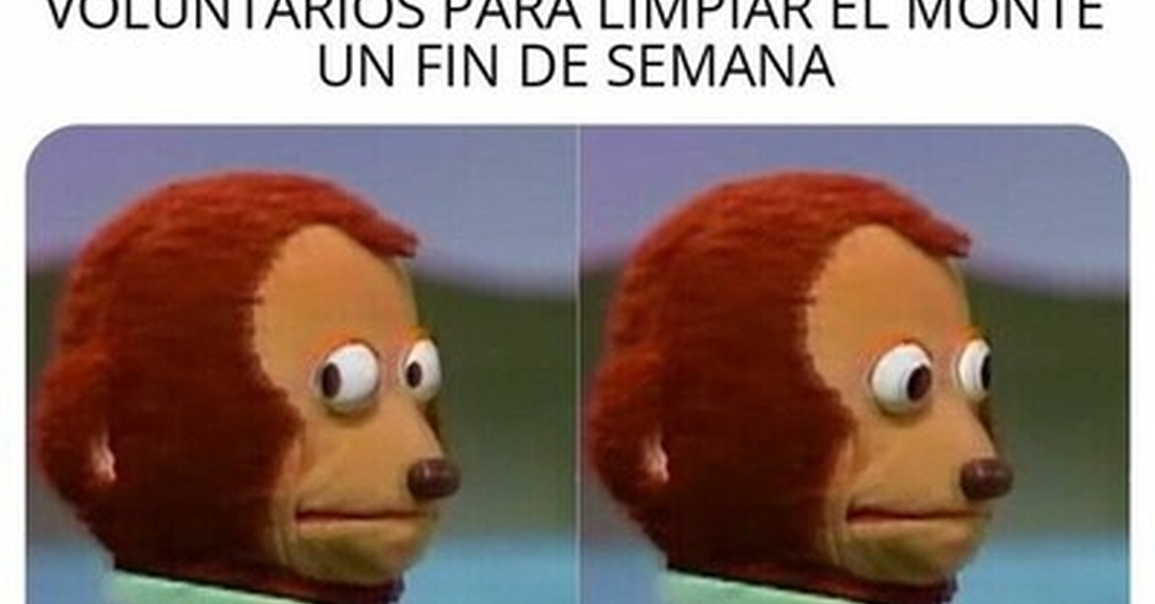 Cuánto cabrón / Comprometido pero no mucho