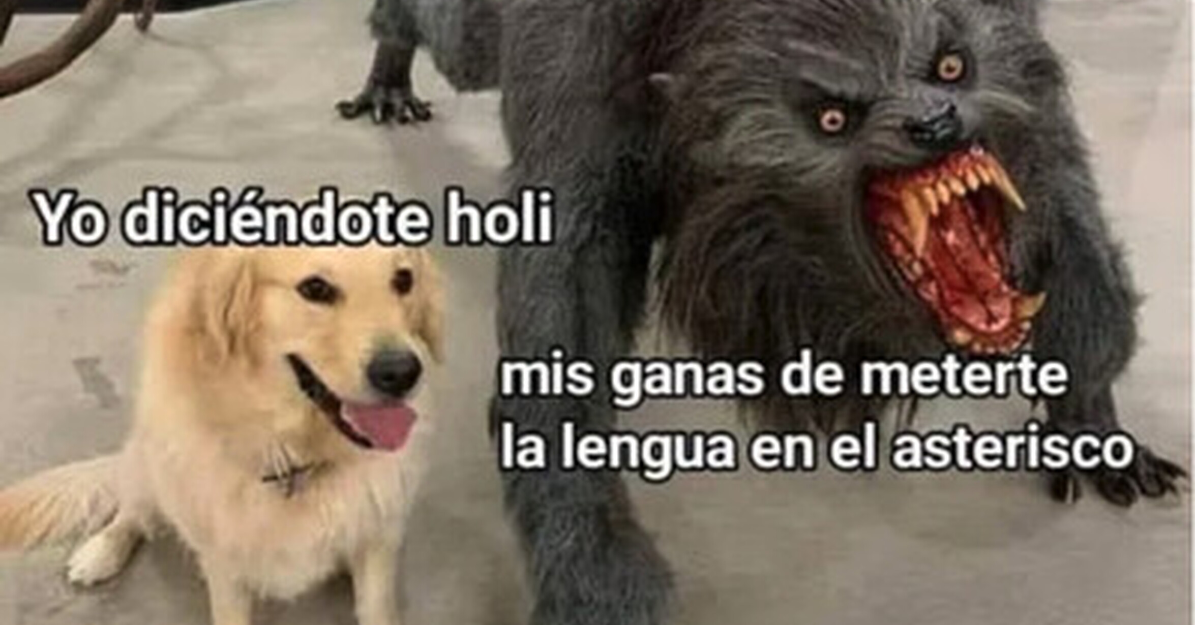 Cuánto cabrón / Lo que mi timidez esconde