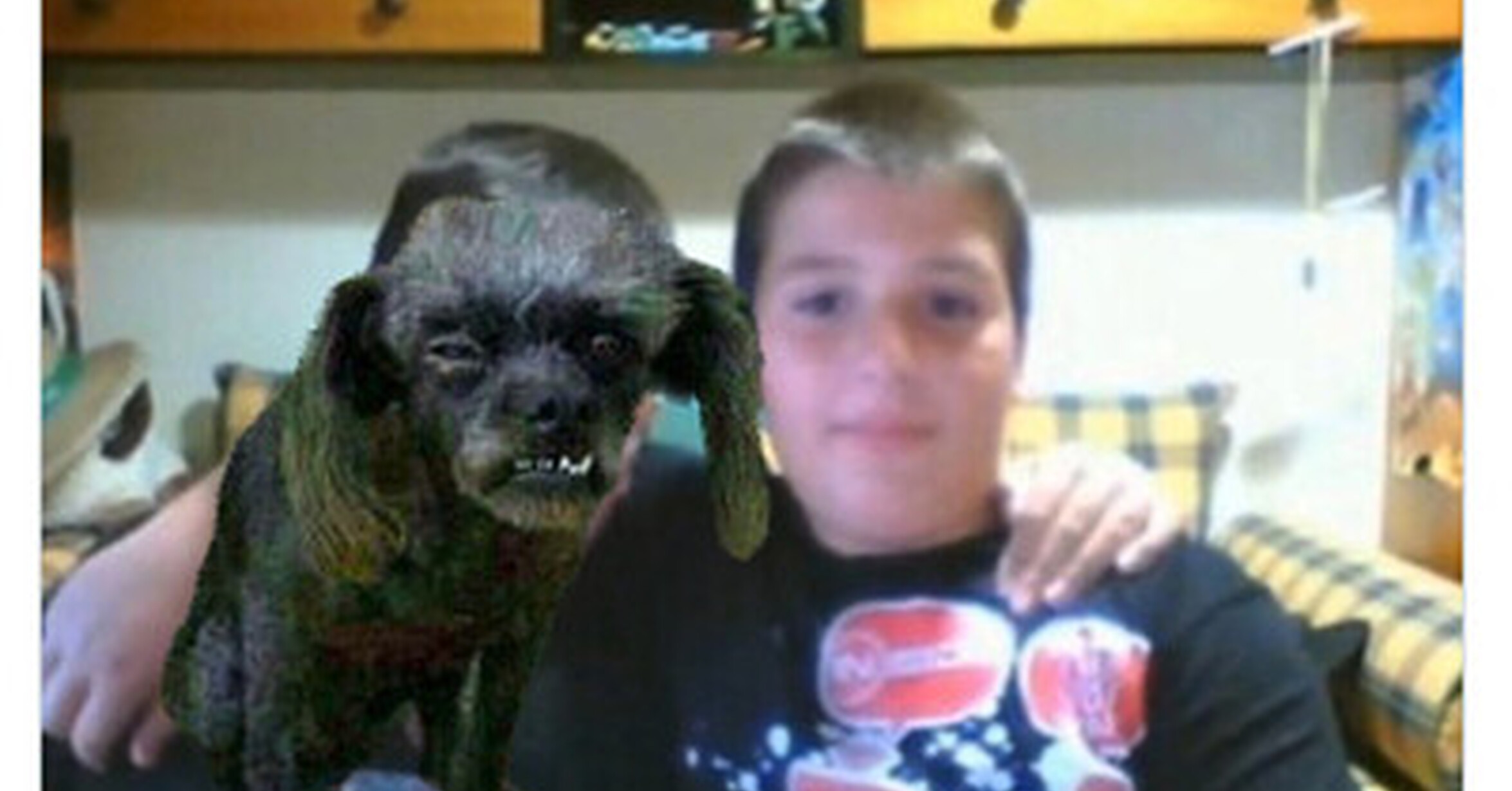 Cuánto cabrón / Finalmente acabamos adoptando a Mierdon