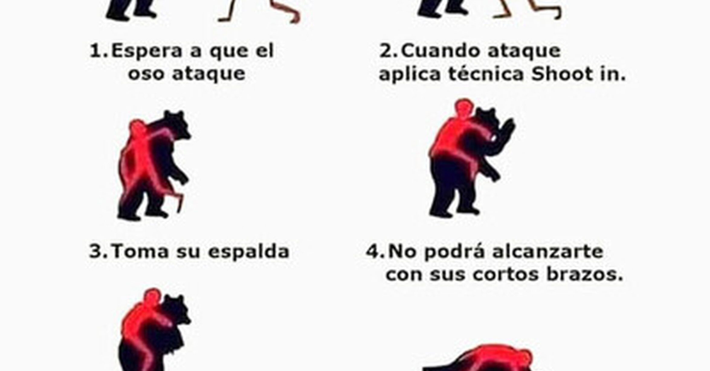 Cuánto cabrón / Cómo sobrevivir a un oso grizzly