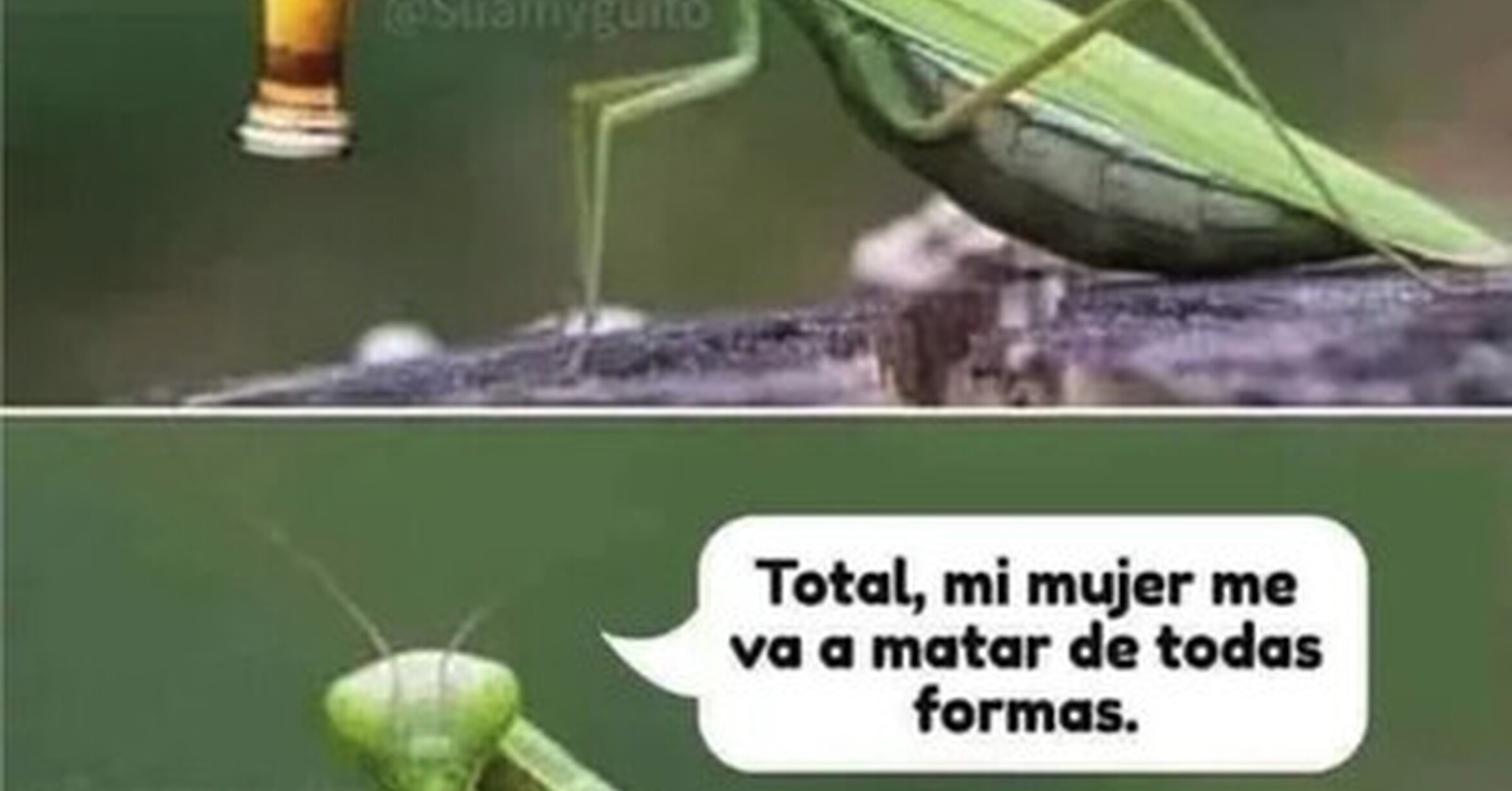Cuánto cabrón / Literalmente