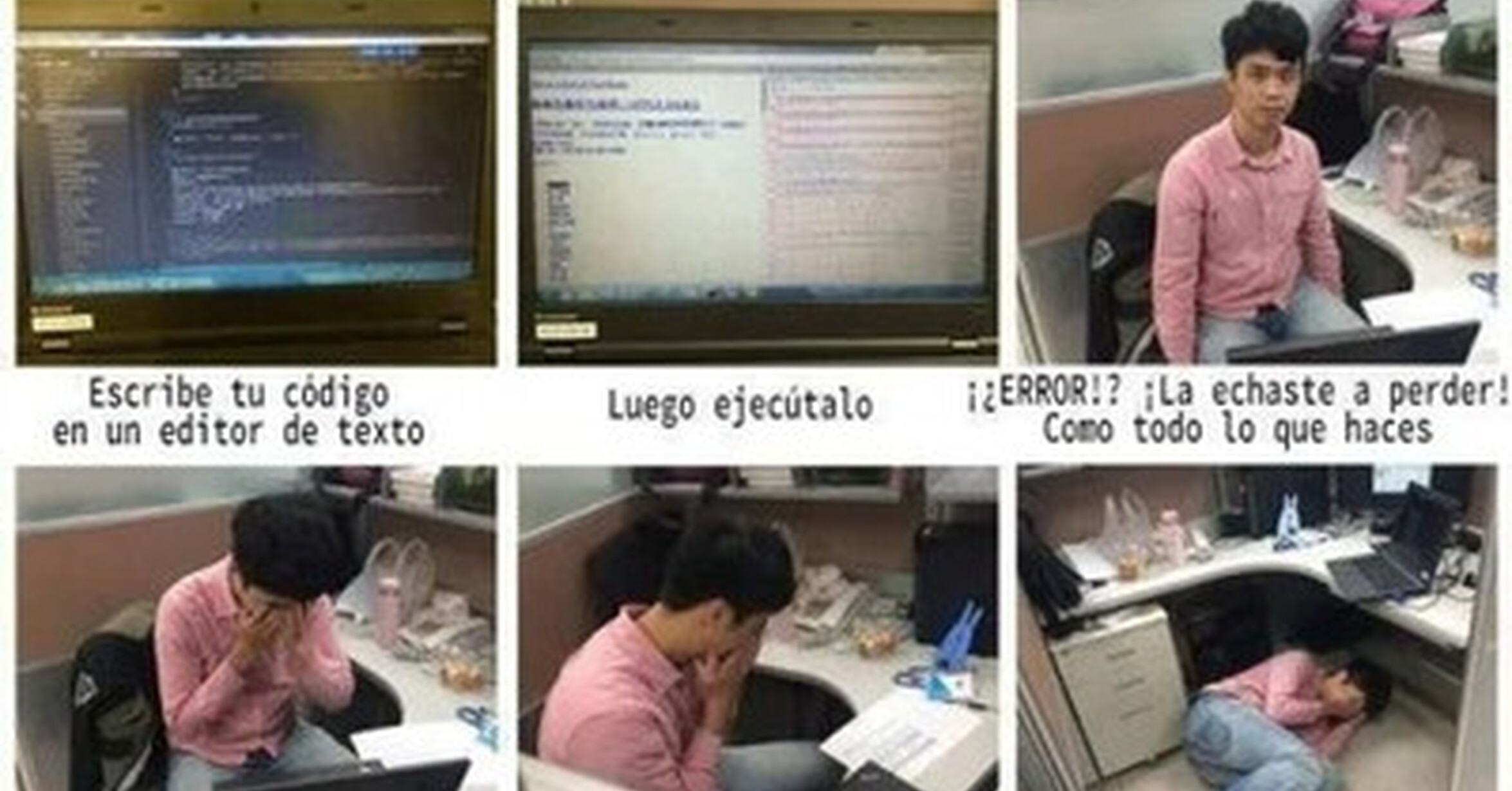 Cuánto cabrón / La vida del programador