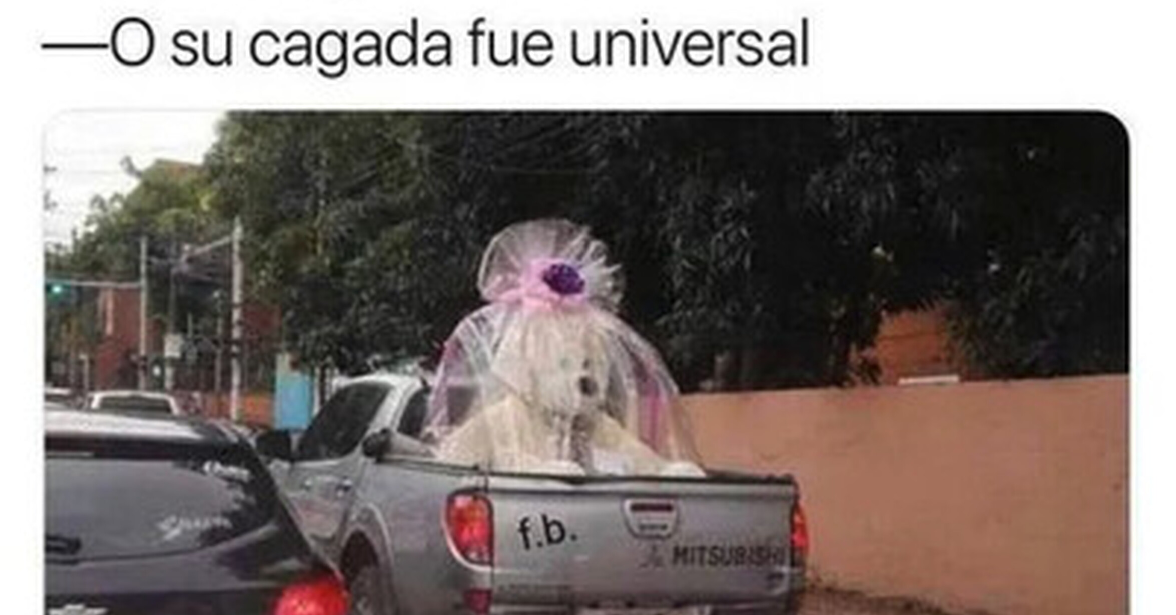 Cuánto cabrón / Detrás de ese oso hay un gran motivo