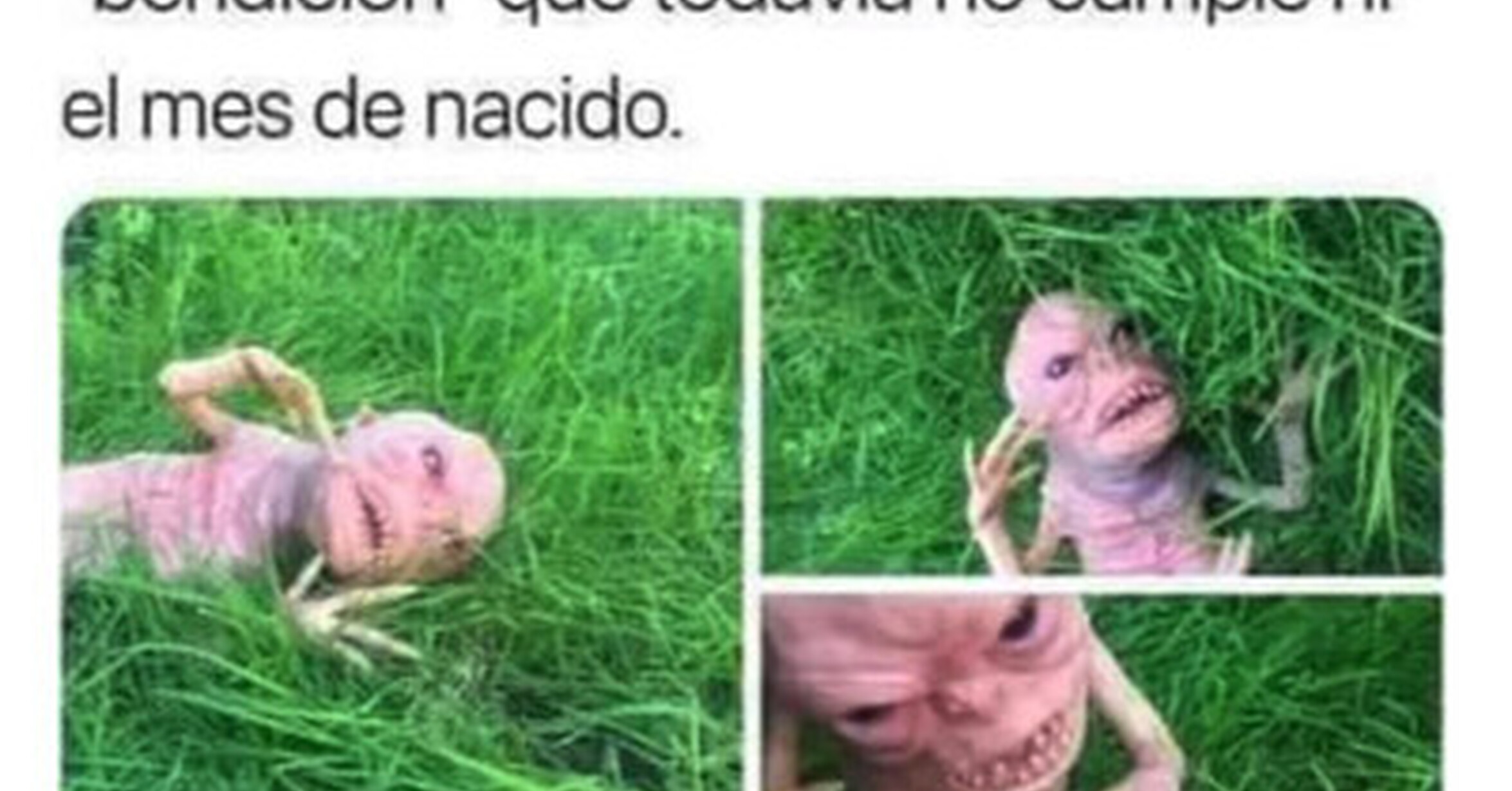 Cuánto cabrón / Menudo bicho