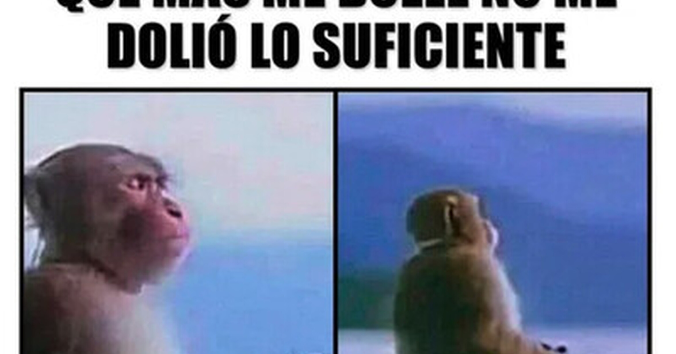 Cuánto cabrón / Para más dolor
