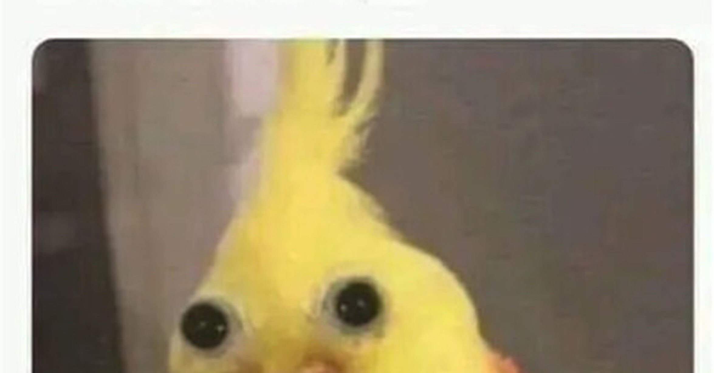 Cuánto cabrón / Imposible no ser expulsado