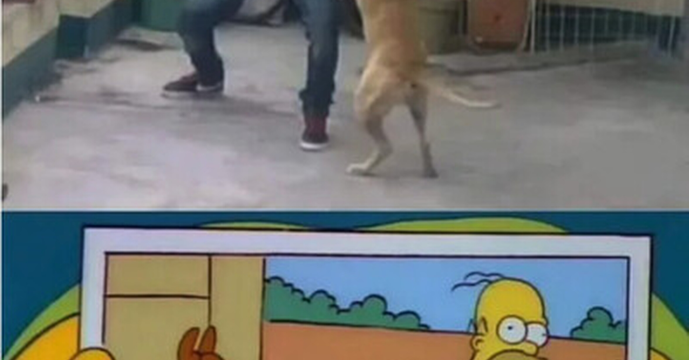 Cuánto cabrón / También pasó primero en Los Simpson