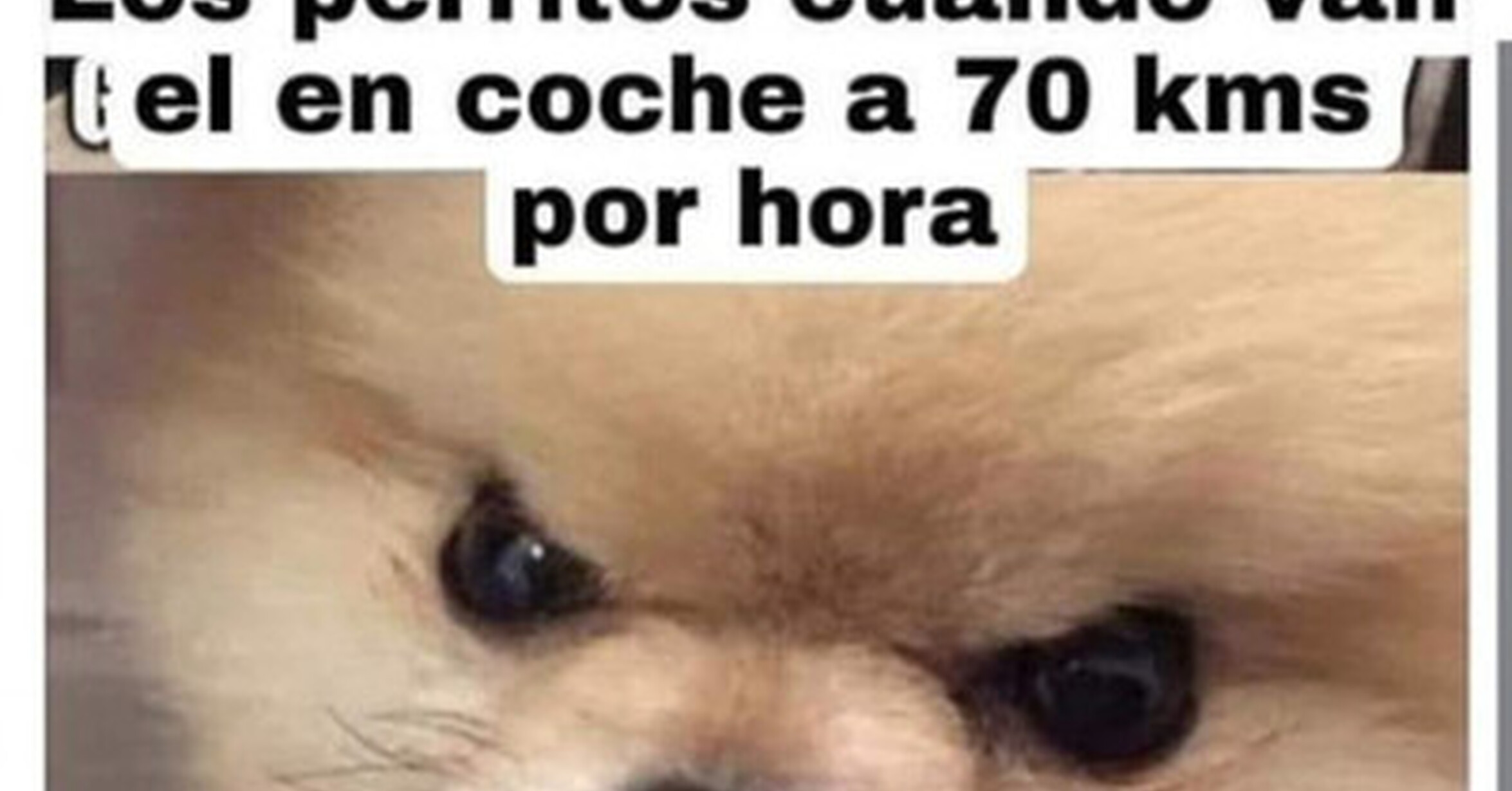 Cuánto cabrón / Así son y así los queremos