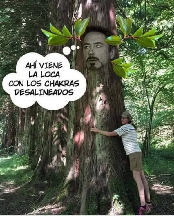Árboles hartos : r/SpanishMeme