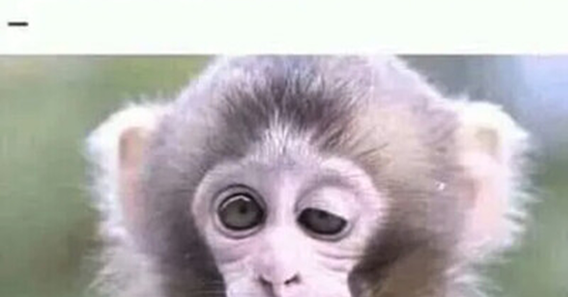 Cuánto cabrón / Bueno un poco sí