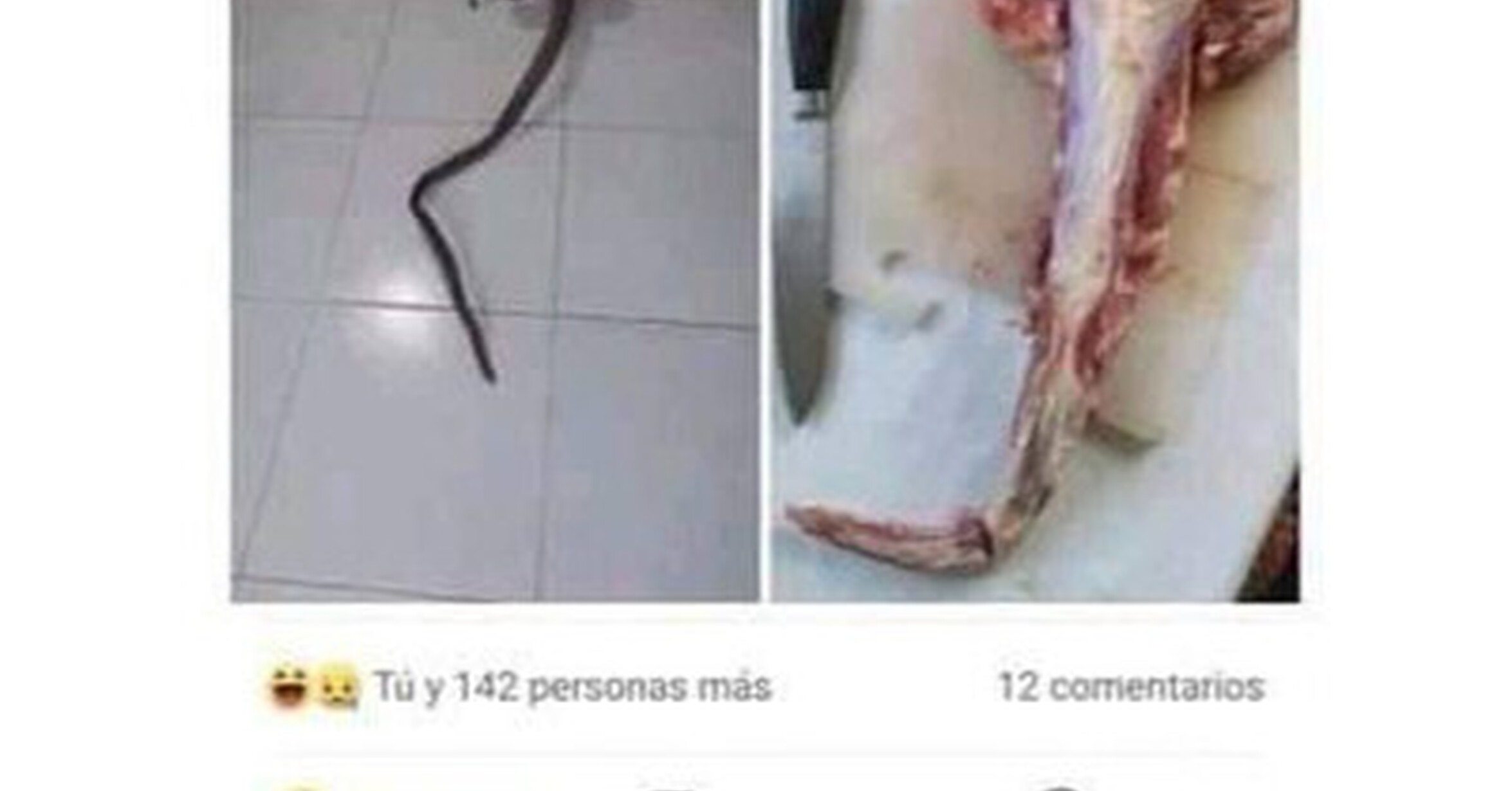 ¿Qué es esa cosa?