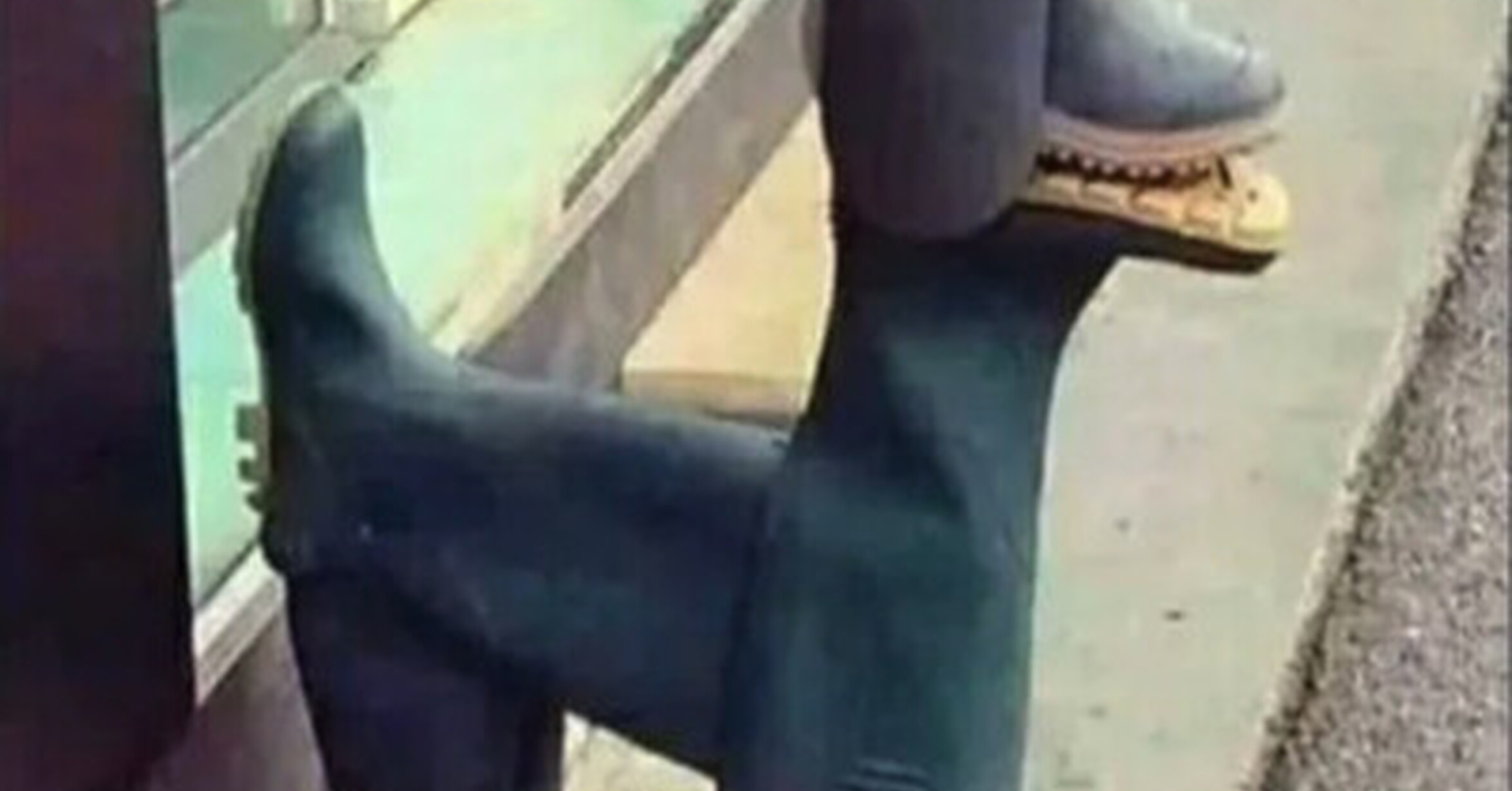 Cuánto cabrón / Está el Gato con Botas... ¡y el Perro de Botas!